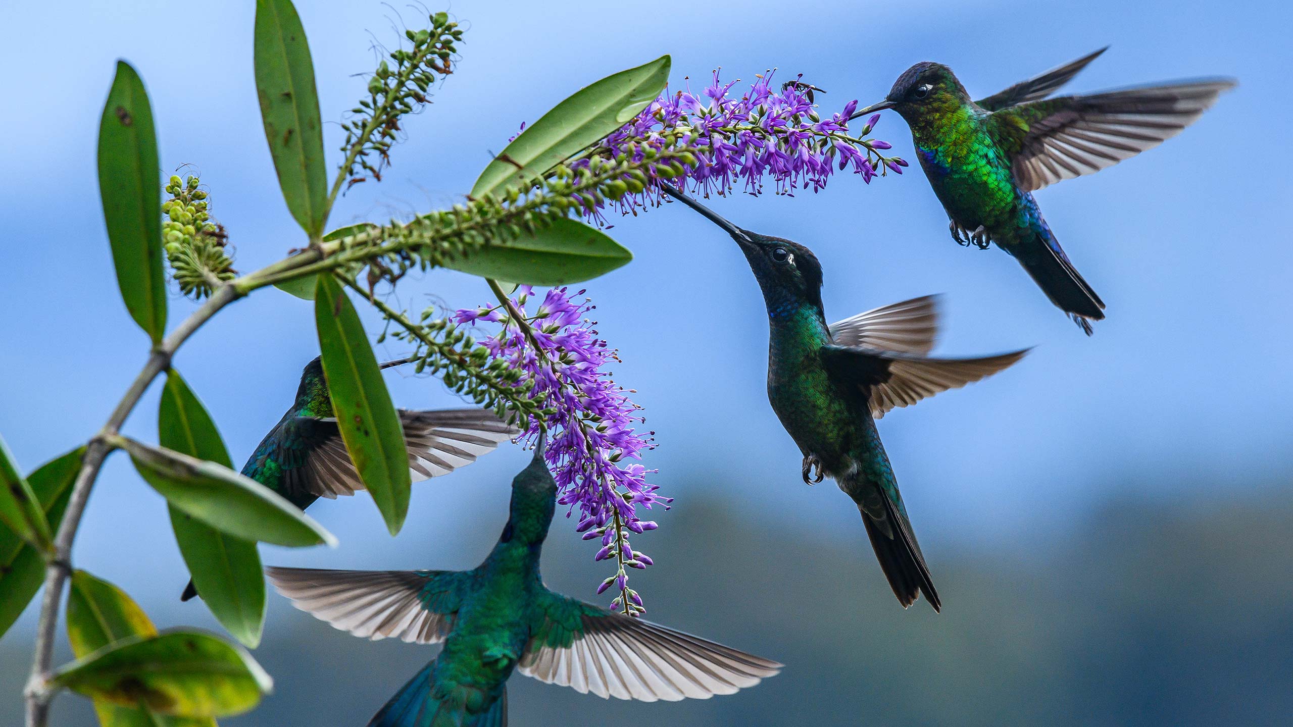 Trazando el rumbo: Ideas de inversión para 2026 | PIMCO