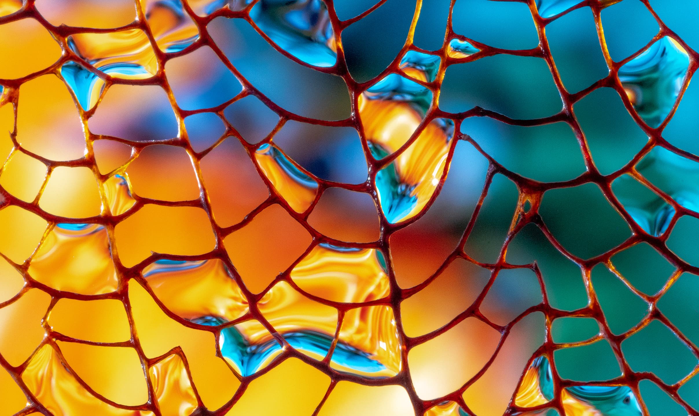 Model Portfolio Strategies | PIMCO