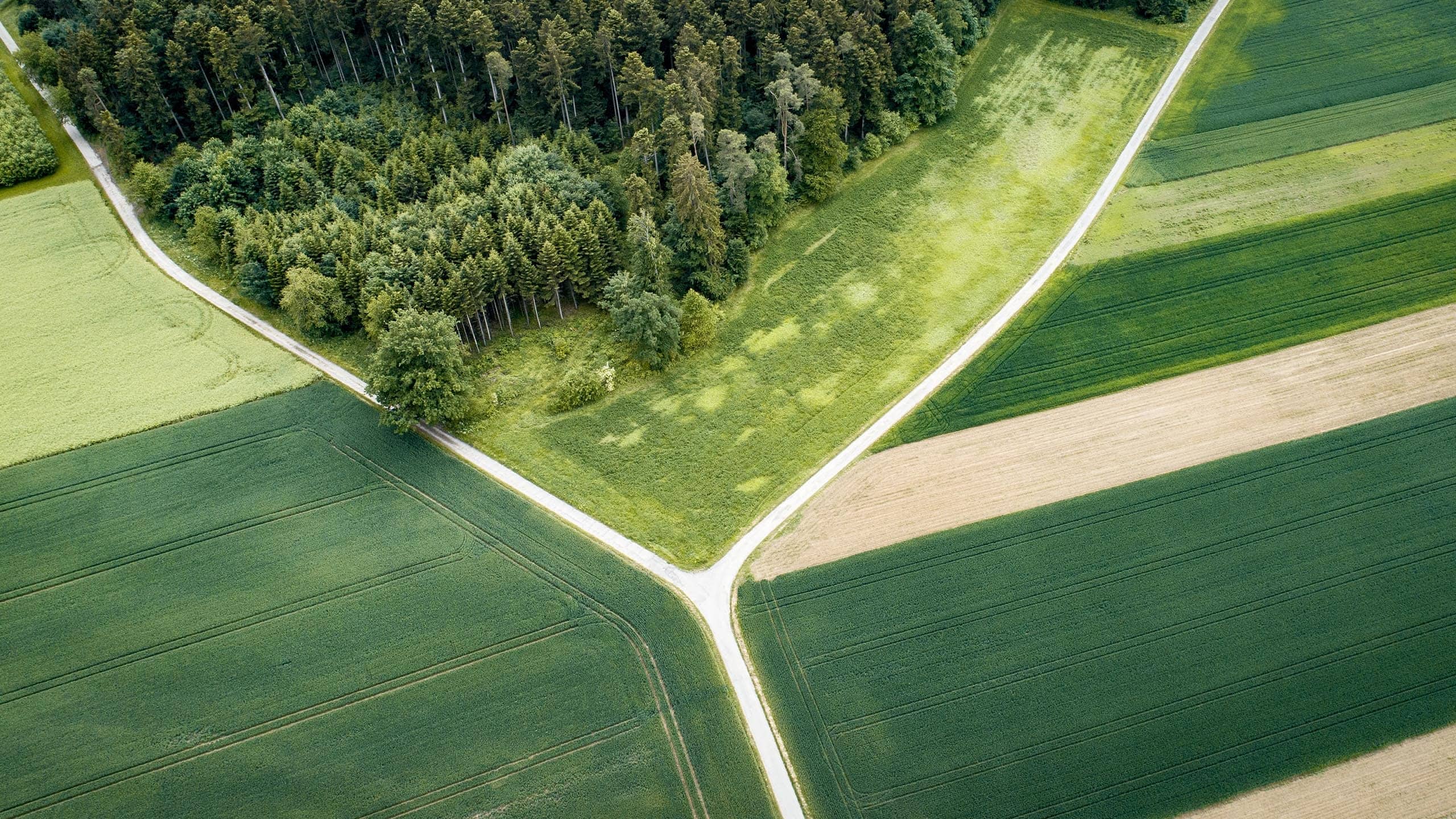 Investment Management | PIMCO