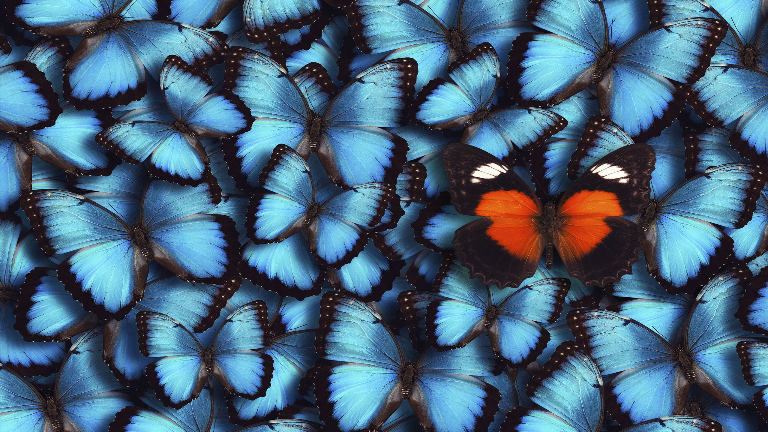 Understanding Benchmarks | PIMCO