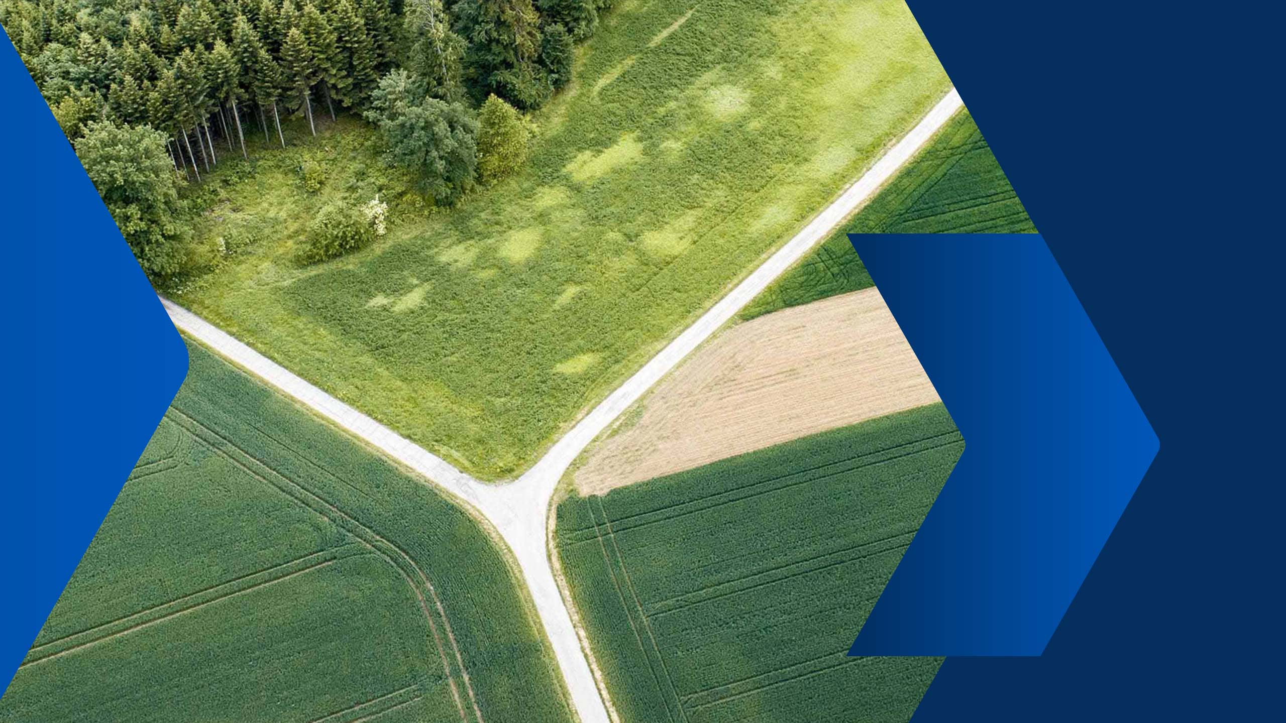 Preparing for Diverging Economic Paths (video) | PIMCO