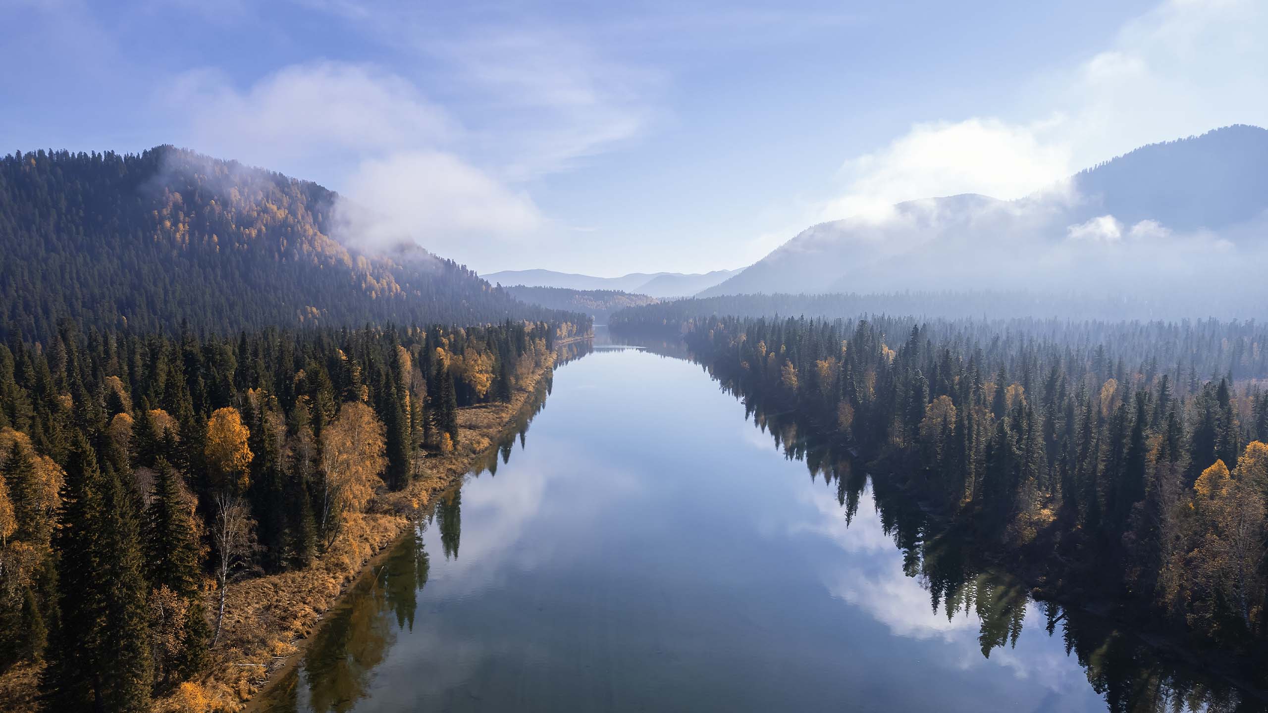 5 Themes Defining Bond ETF Investing Today | PIMCO